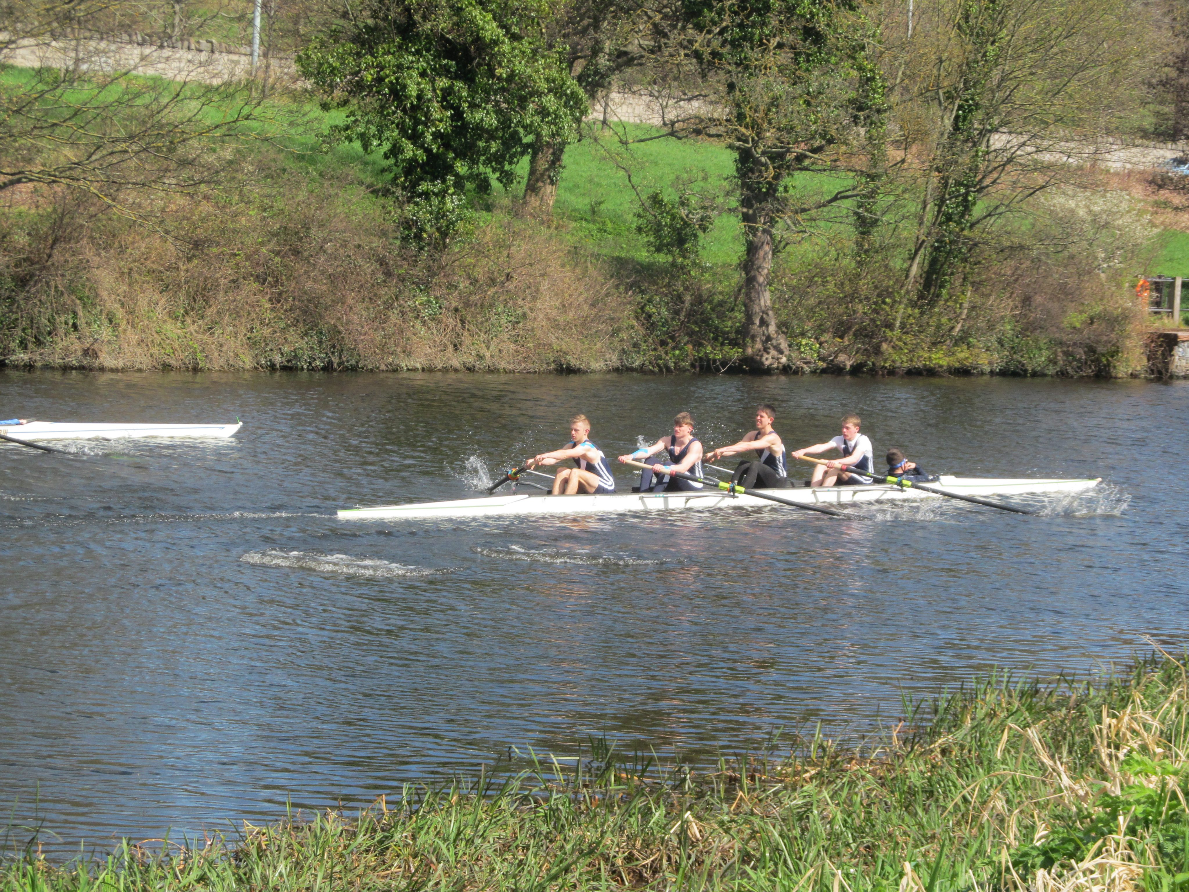 Neptune regatta 2017 | Waterford Boat Club